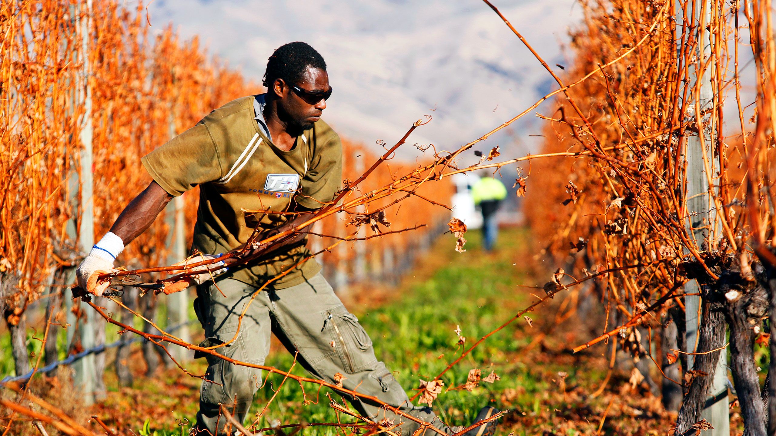 Lockdown For Profit The Puzzle And The Problem Of A Growing Migrant 