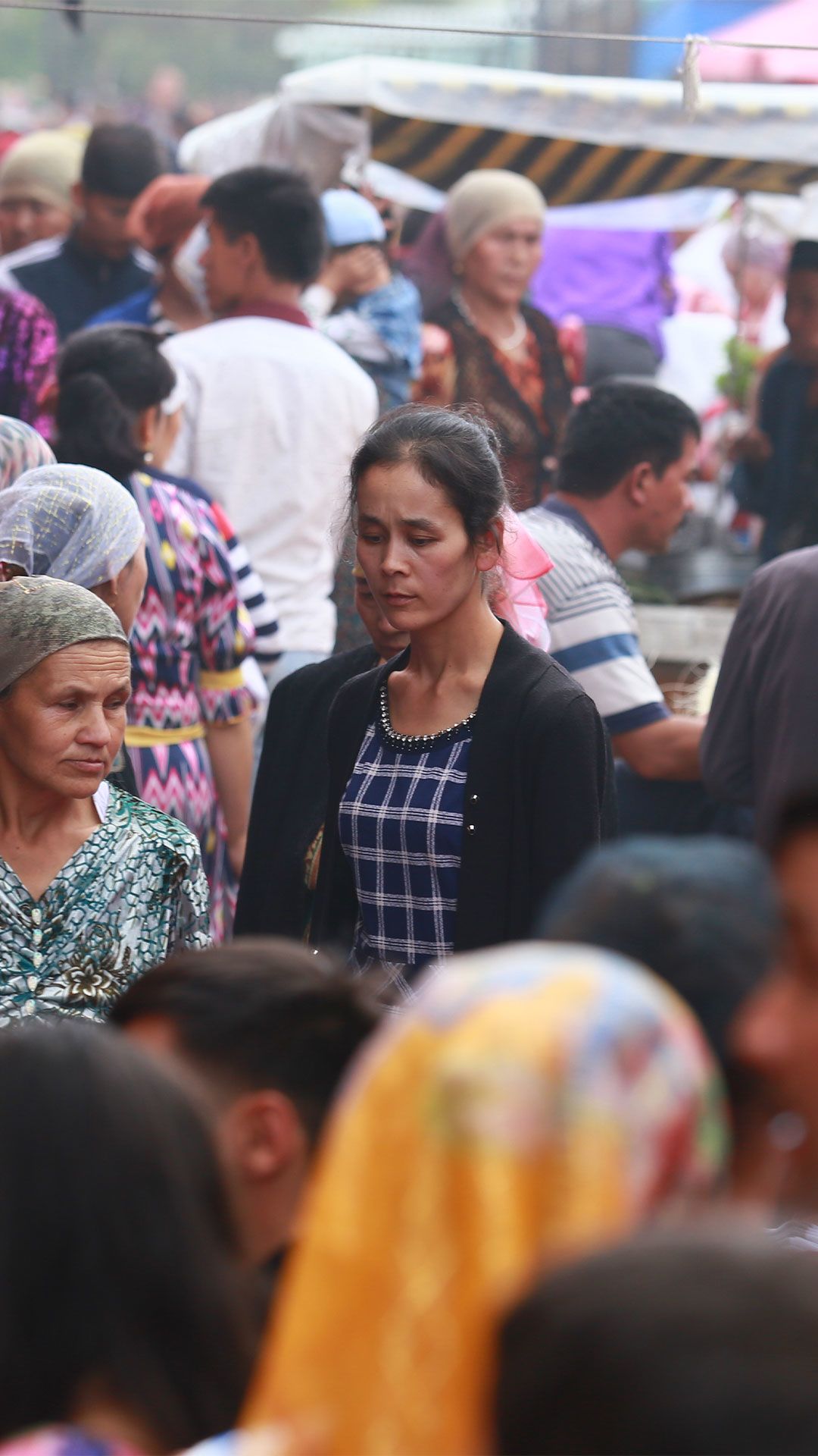 The fight for Xinjiang : The history and geography of China's ...