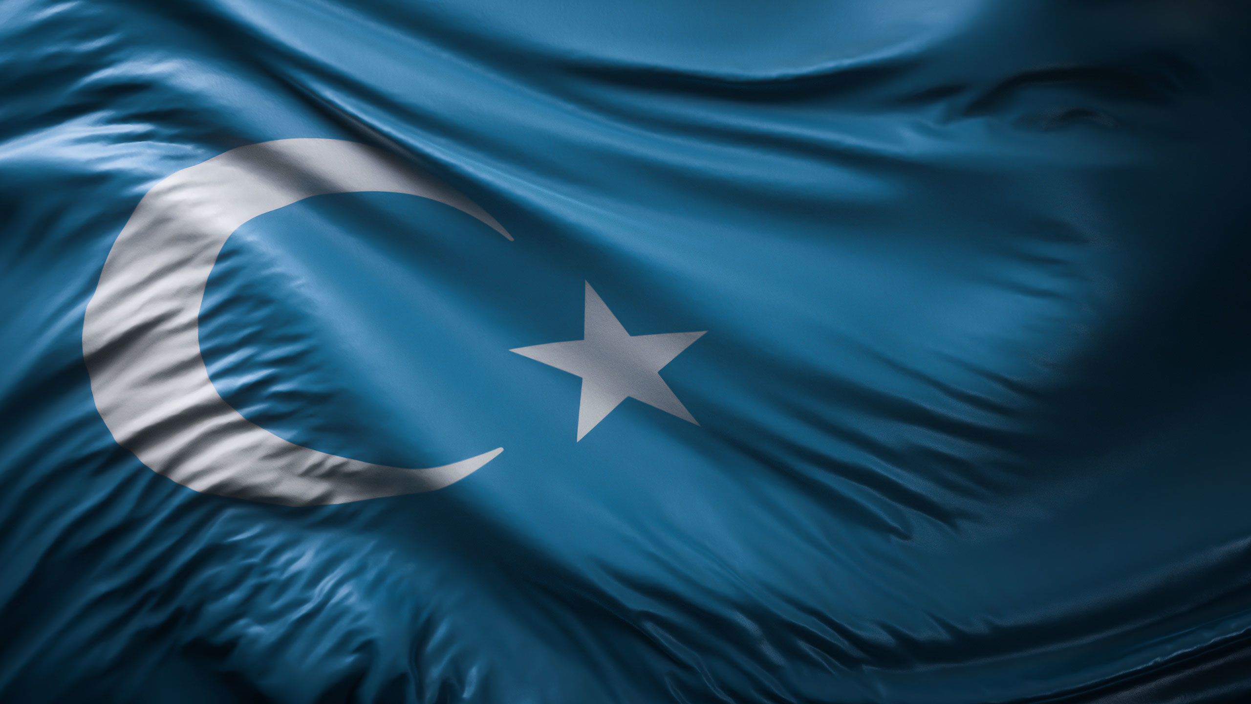 The fight for Xinjiang : The history and geography of China's ...