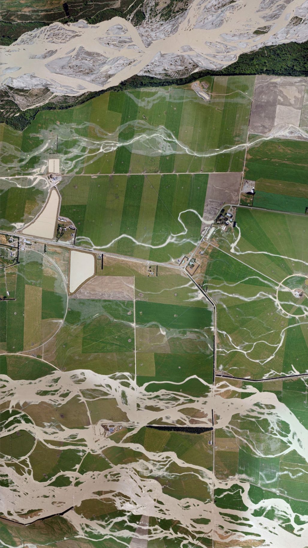 The Rewilding Project: The movement to revive our 'zombie' rivers