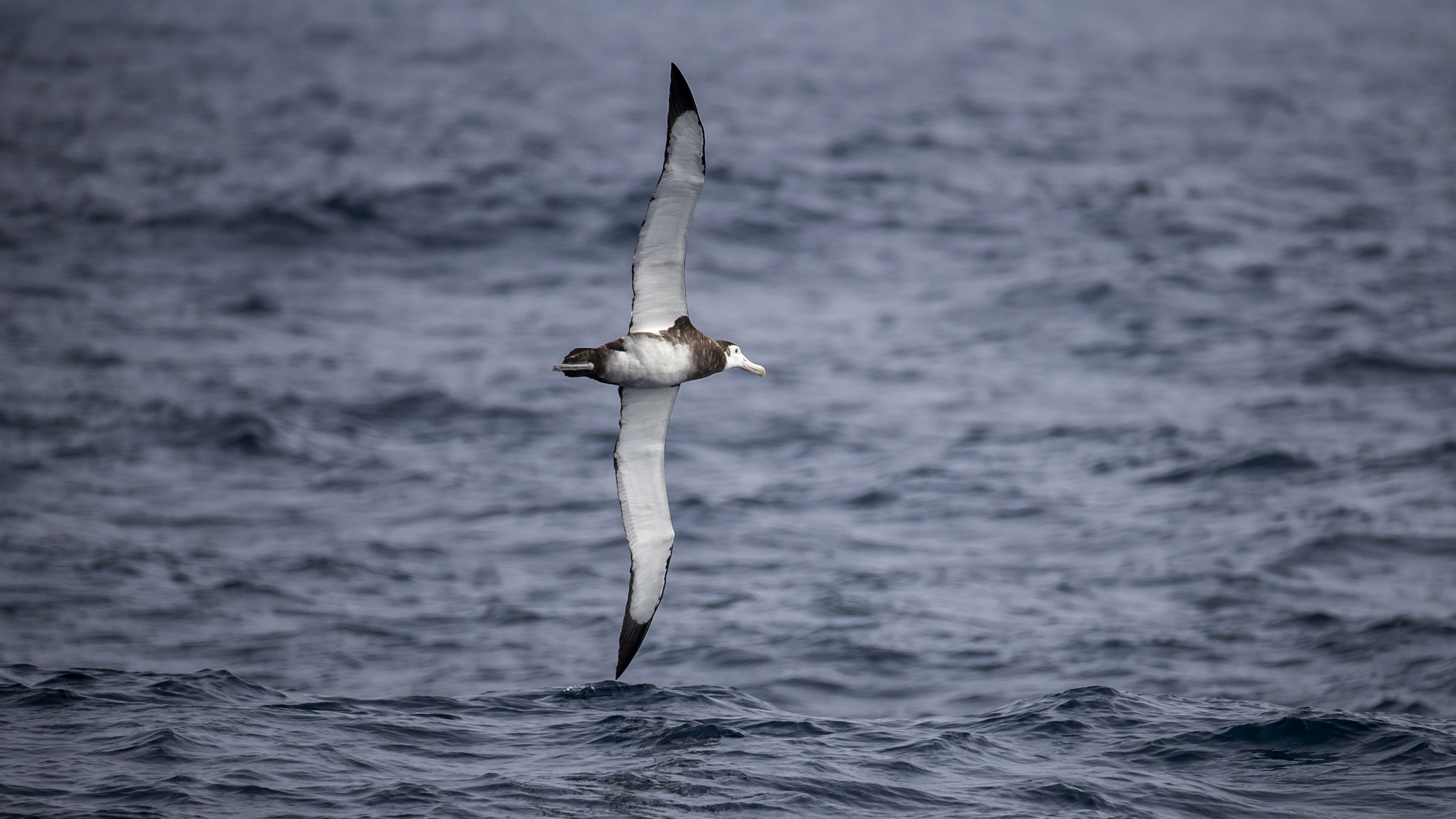 The Price of Fish: It's time for consumers to take more notice of where ...