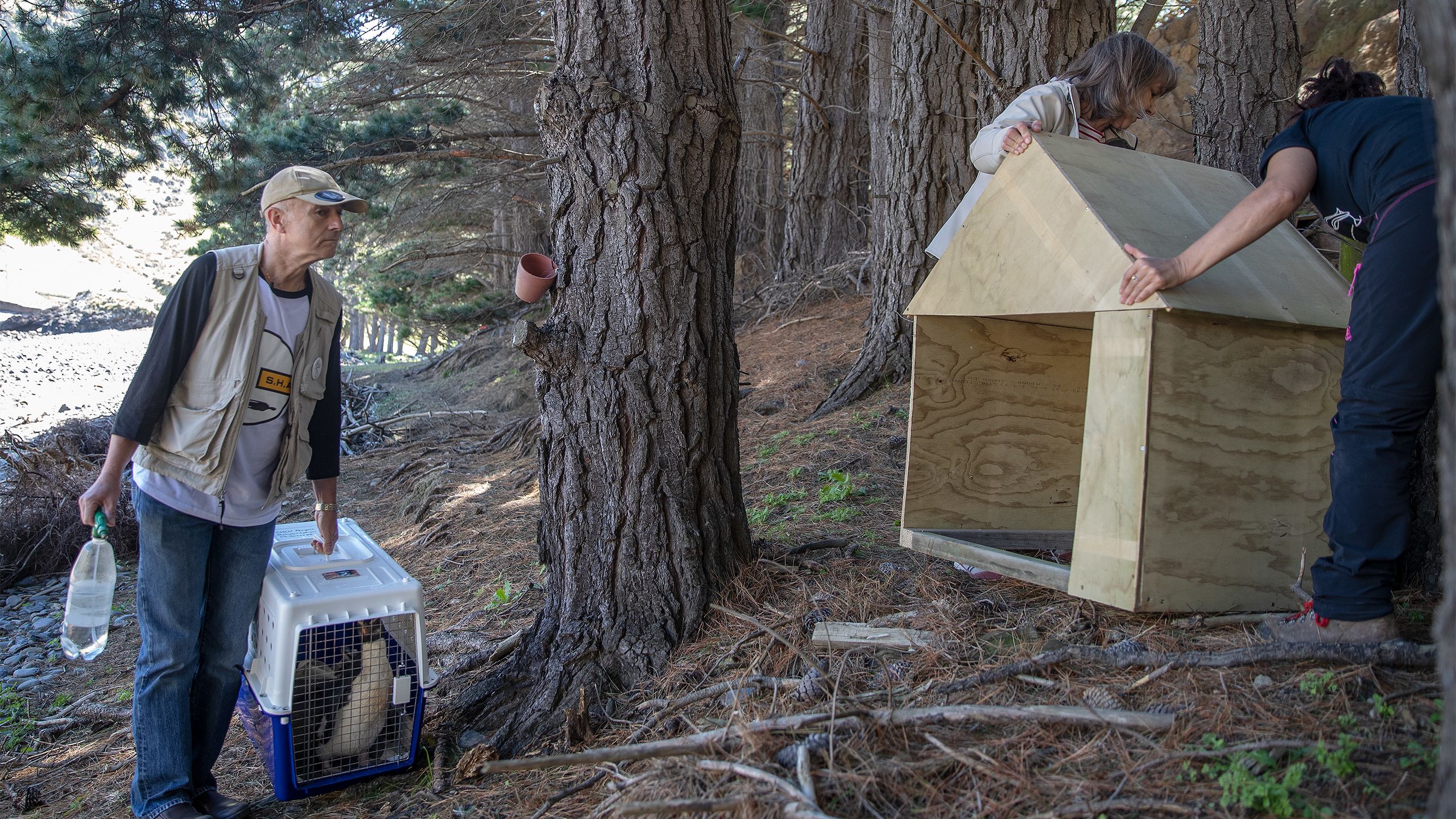 This Is How It Ends: Animal Rescue