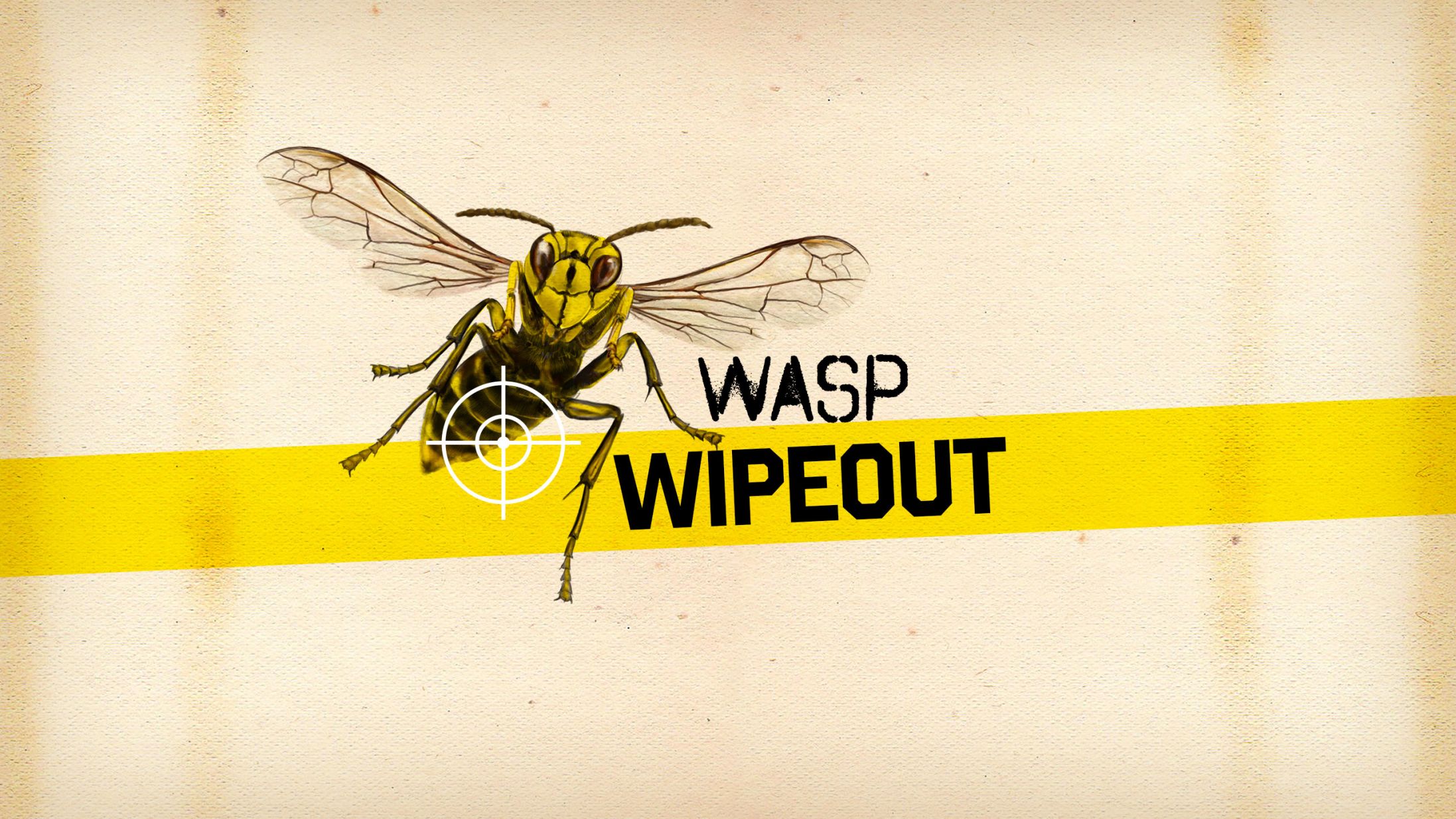 Wasp Wipeout: Help us make them buzz off for good