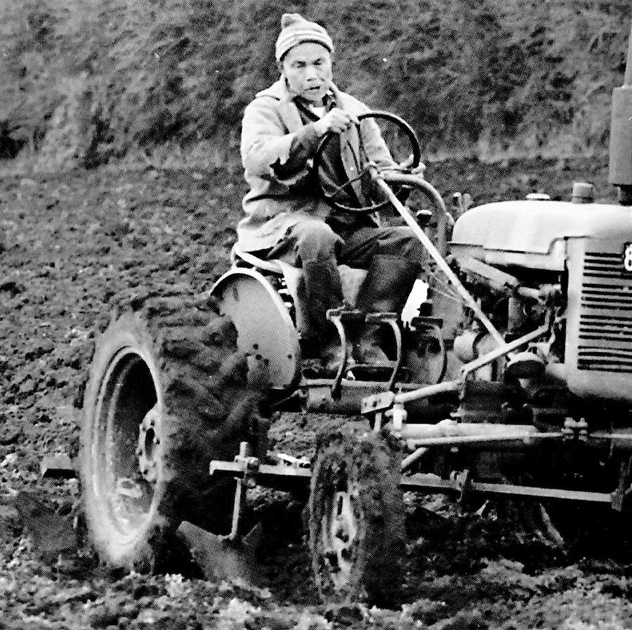 Xin Xi Lan: Identity