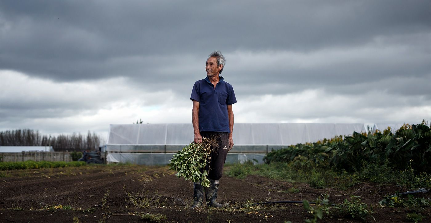 Xin Xi Lan: Making A Life