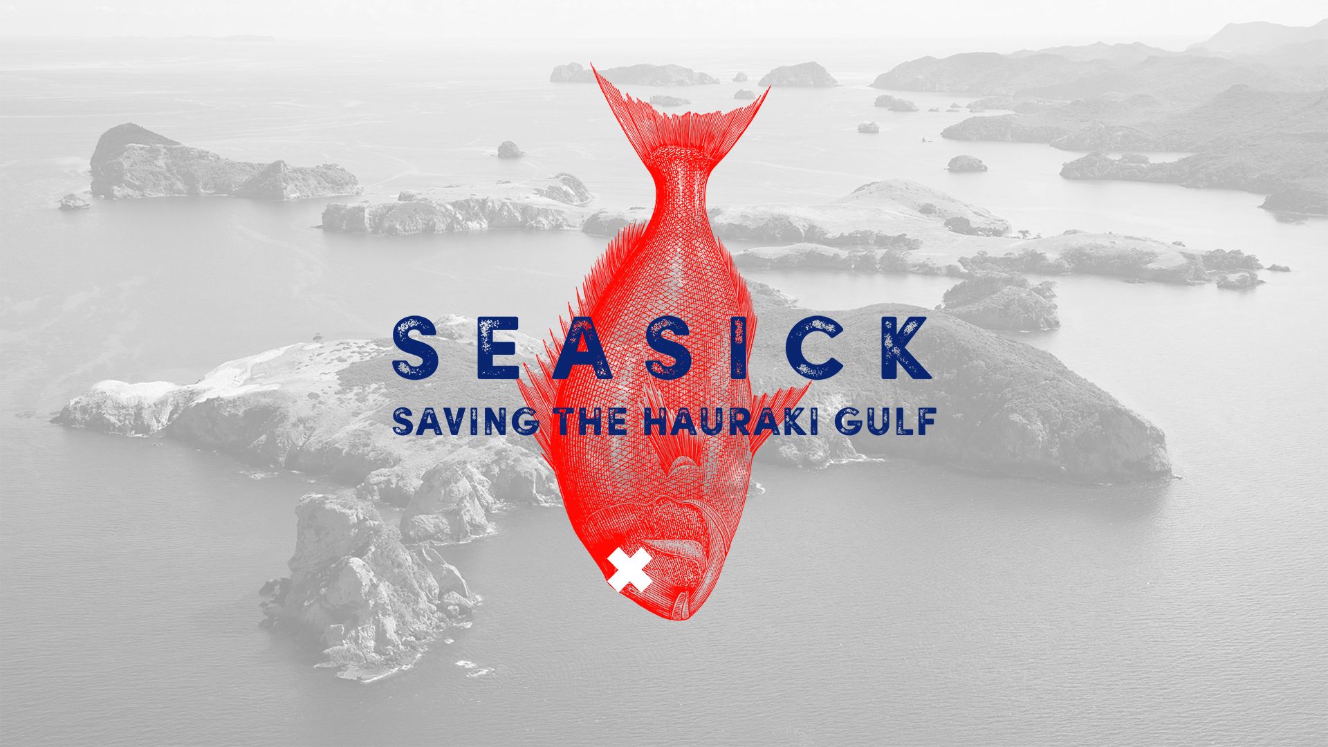 Seasick - Saving the Hauraki Gulf
