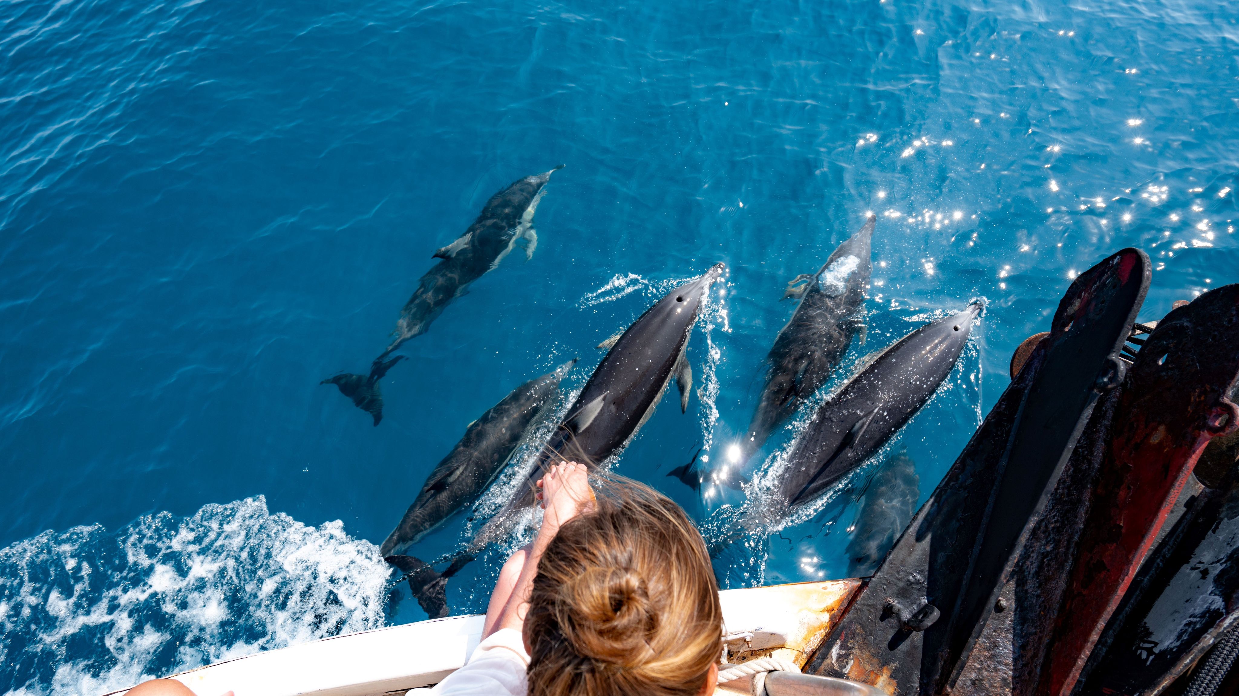 Stuff Travel Go-To Guide: Bay of Plenty