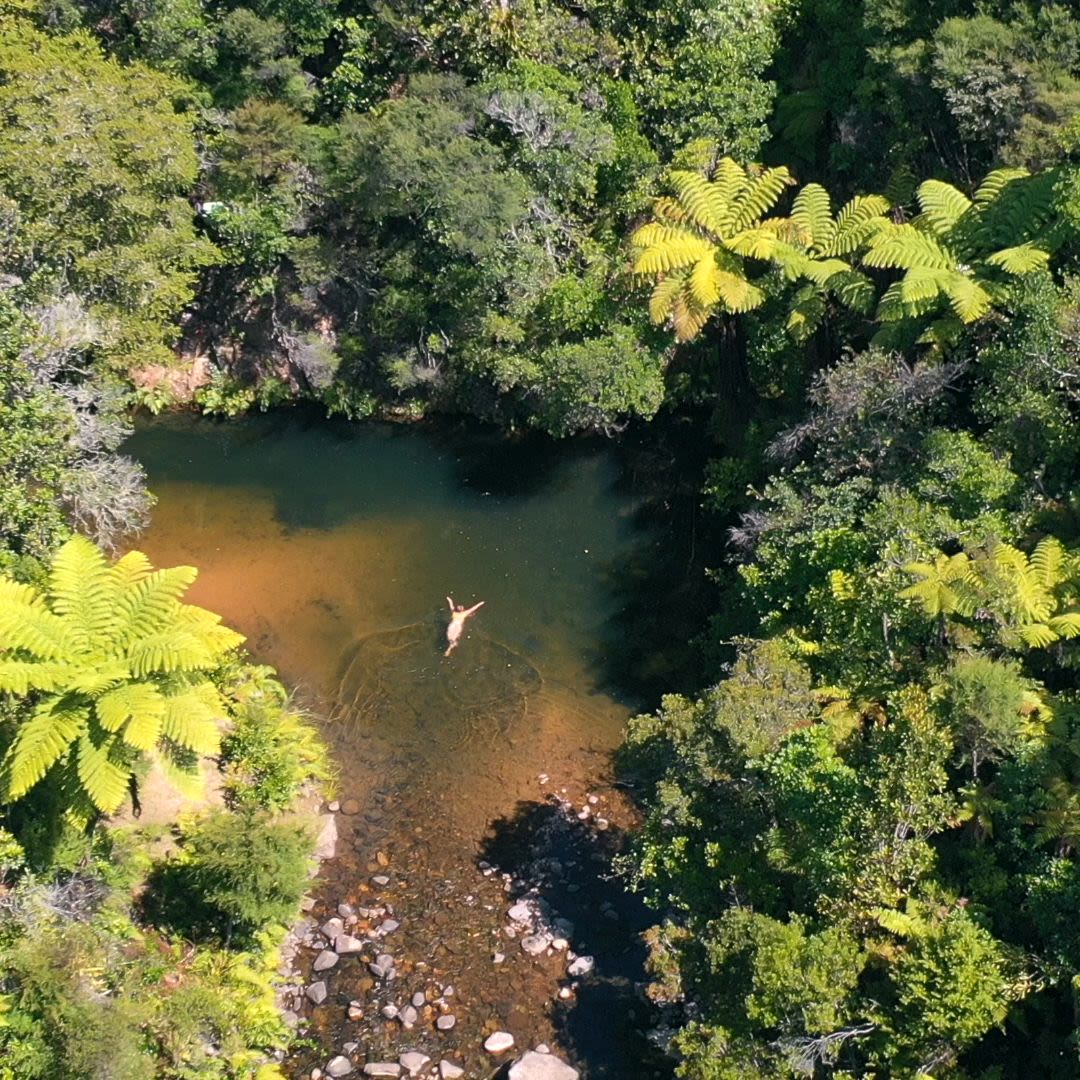Stuff Travel Go-To Guide: Coromandel