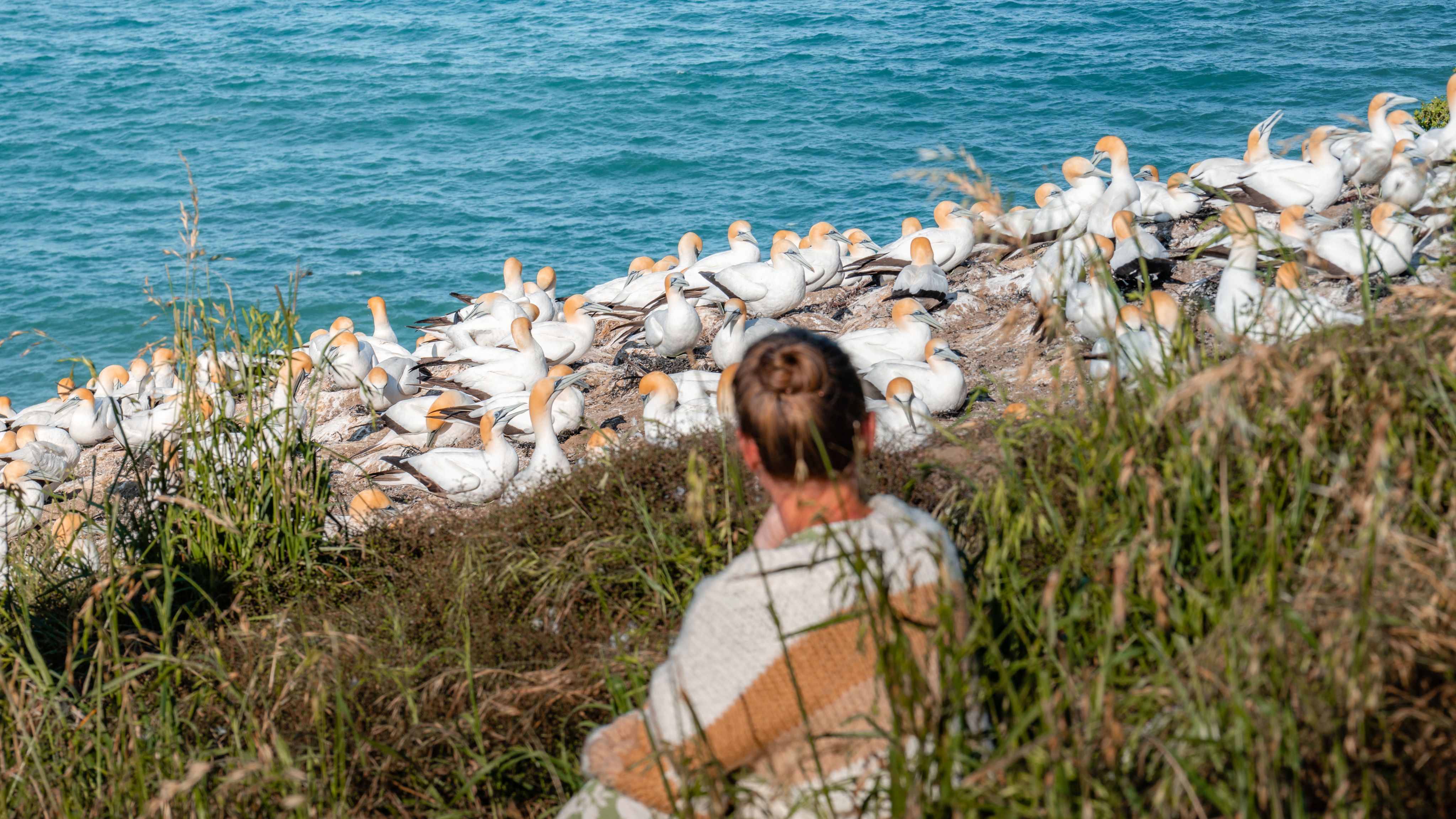 Stuff Travel Go-To Guide: Hawke's Bay