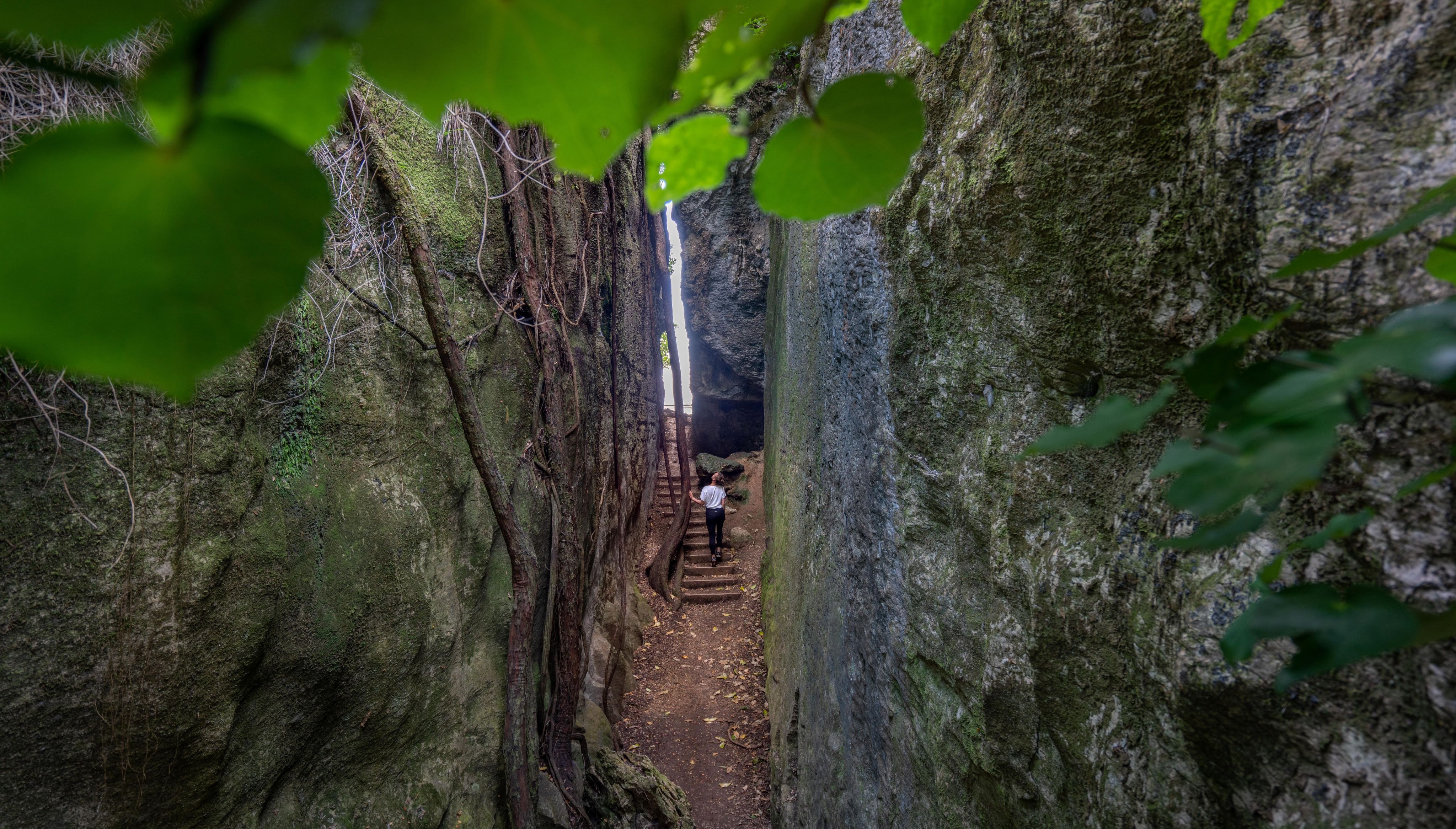 Stuff Travel Go-To Guide: Nelson-Tasman