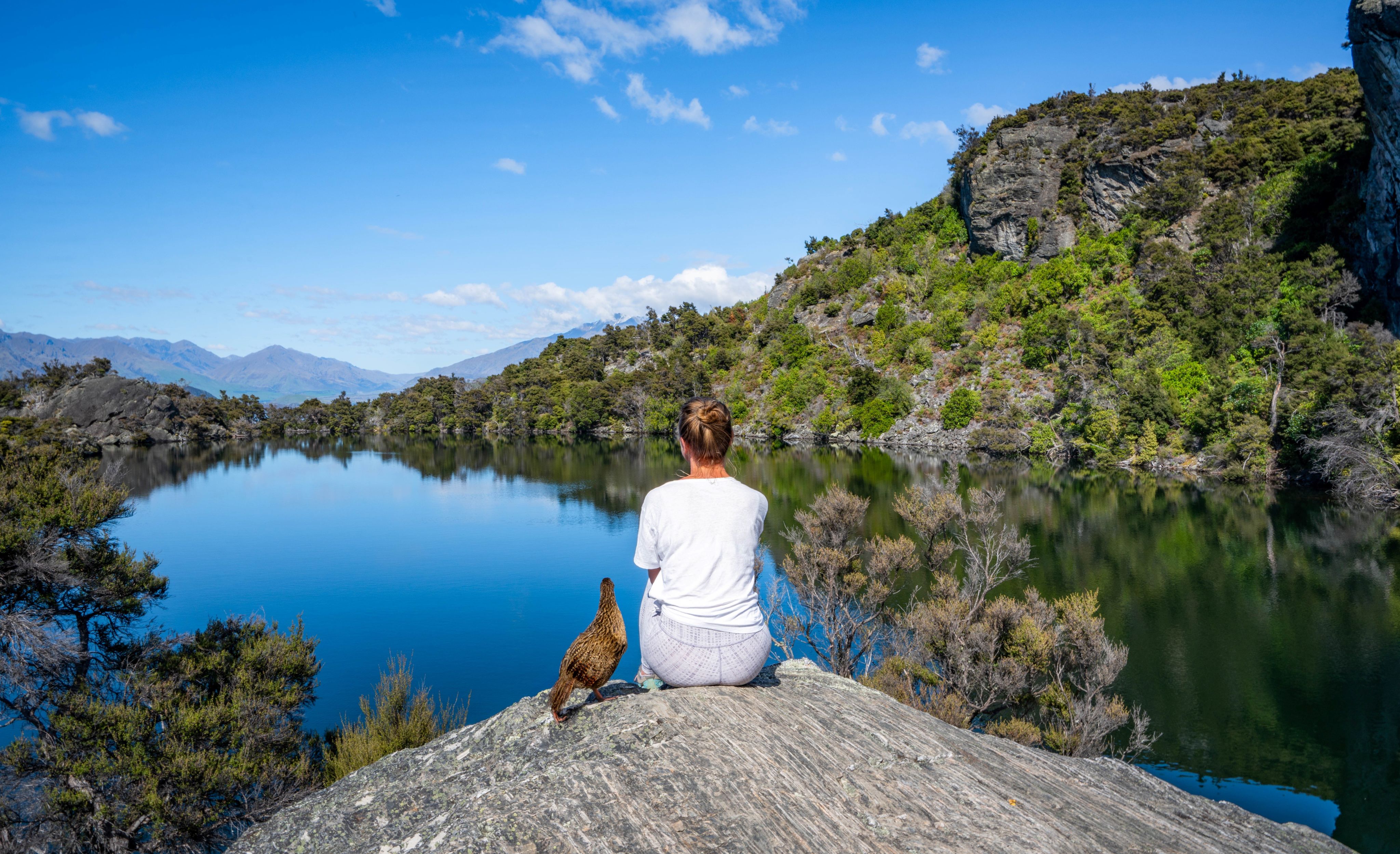 Stuff Travel Go-To Guide: Wānaka